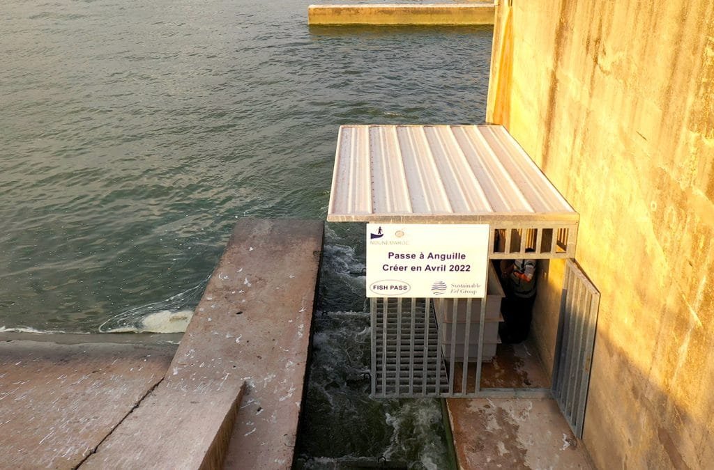 Fish Pass – nounemaroc